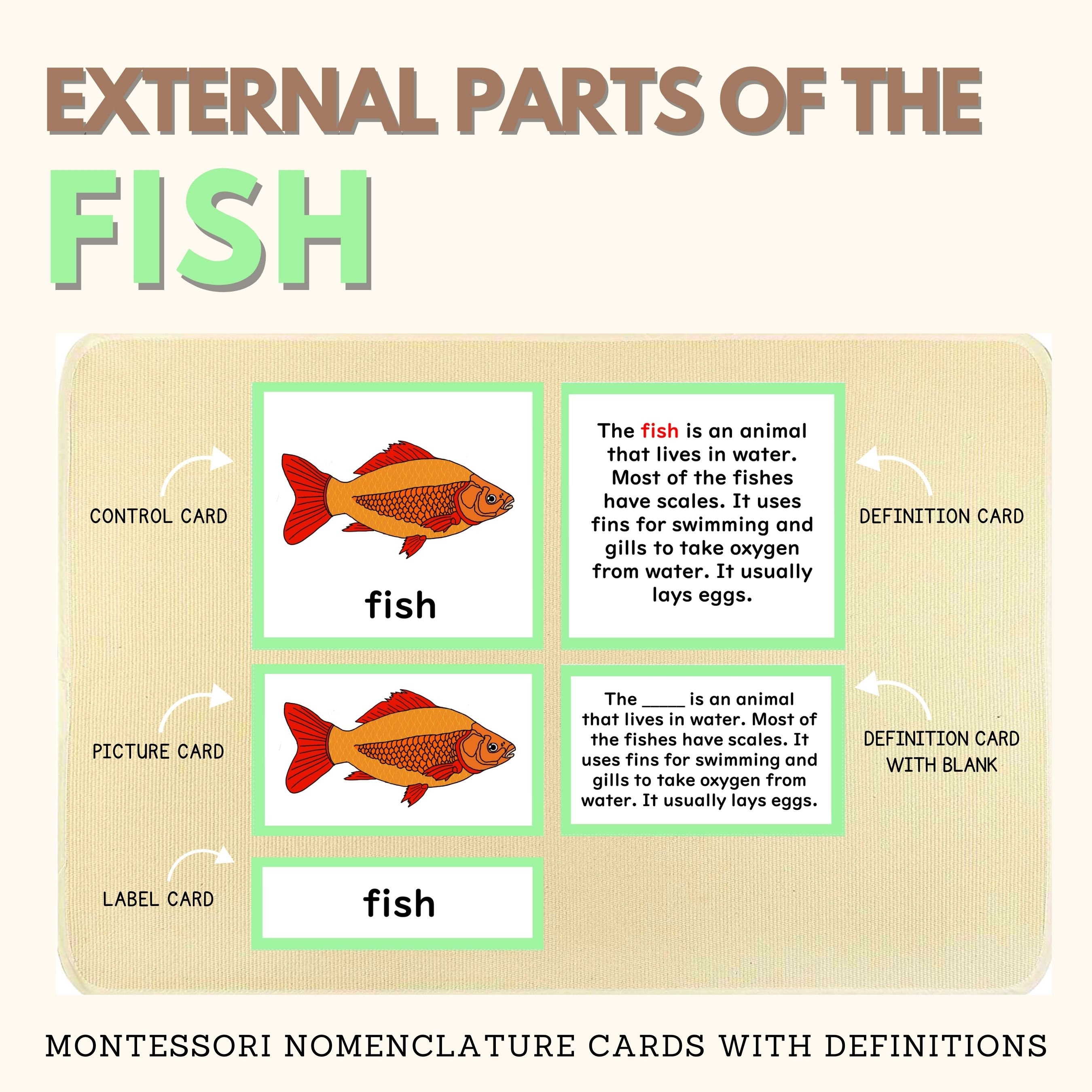 FISH Zoology Unit Study Parts of Fishes Montessori Nomenclature 5-part ...