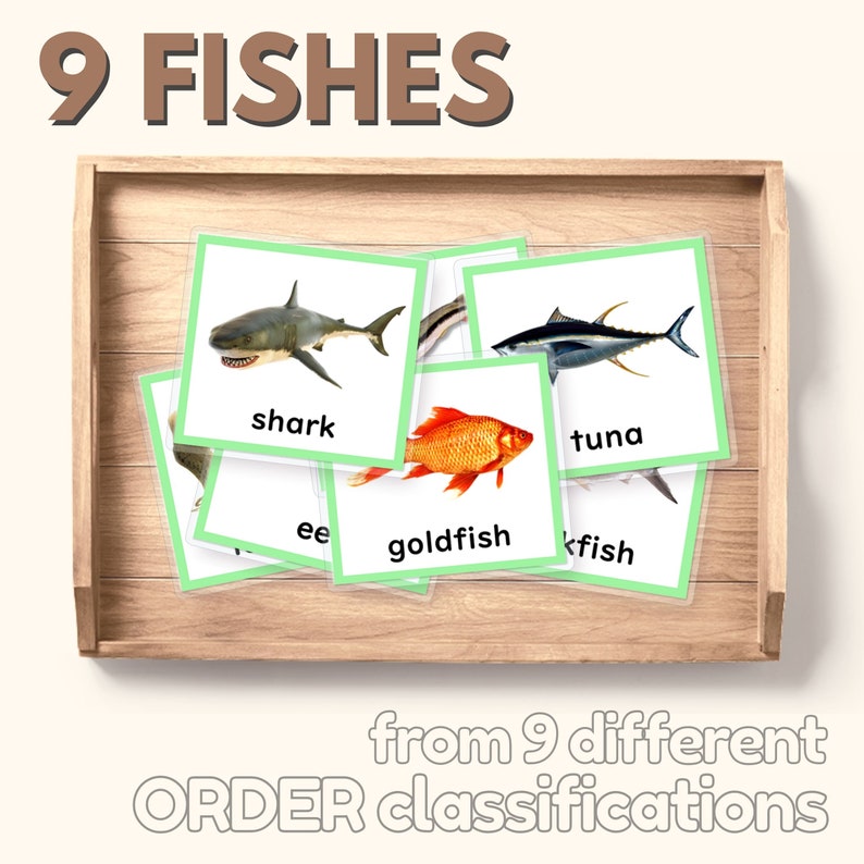 FISH Unit Study Three Part Card Montessori Nomenclature 3-part ...