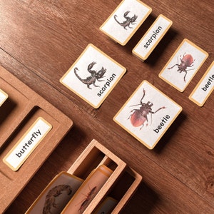 ARTHROPODS Three Part Card Montessori Nomenclature 3-part Classified ...