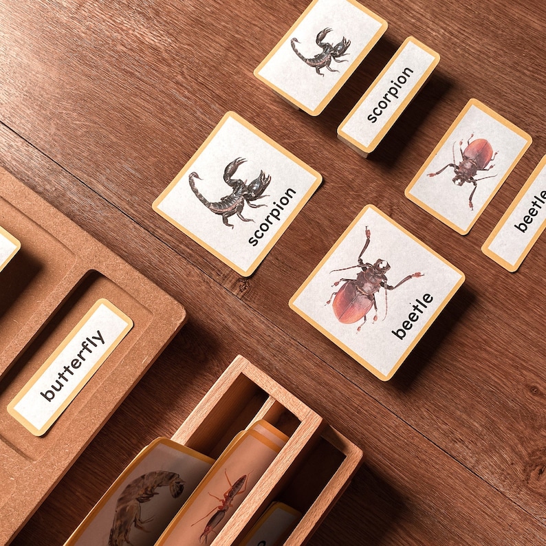 ARTHROPODS Three Part Card Montessori Nomenclature 3-part Classified ...