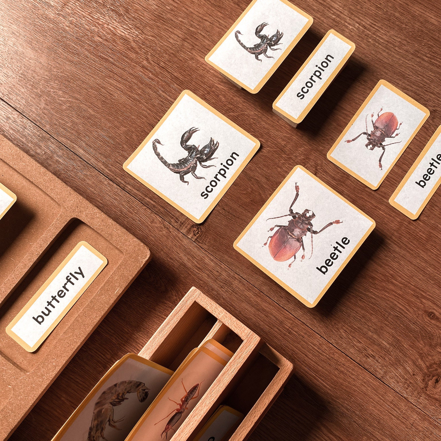 ARTHROPODS Three Part Card Montessori Nomenclature 3-part Classified ...