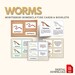 INVERTEBRATES Montessori Zoology Unit Study Montessori Nomenclature 5 ...
