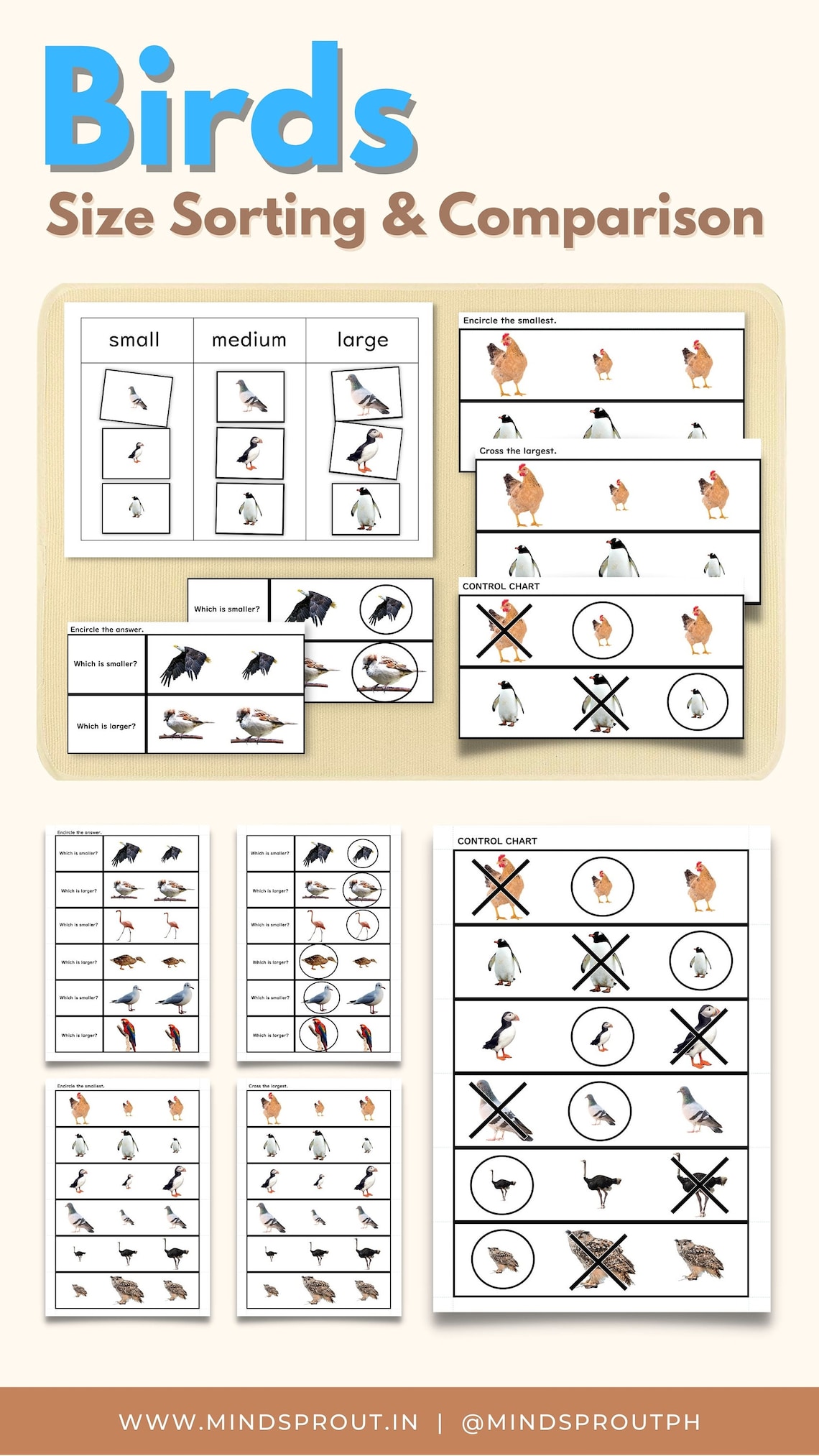 Small Medium Large Size Sorting Activity Montessori Sensorial ...