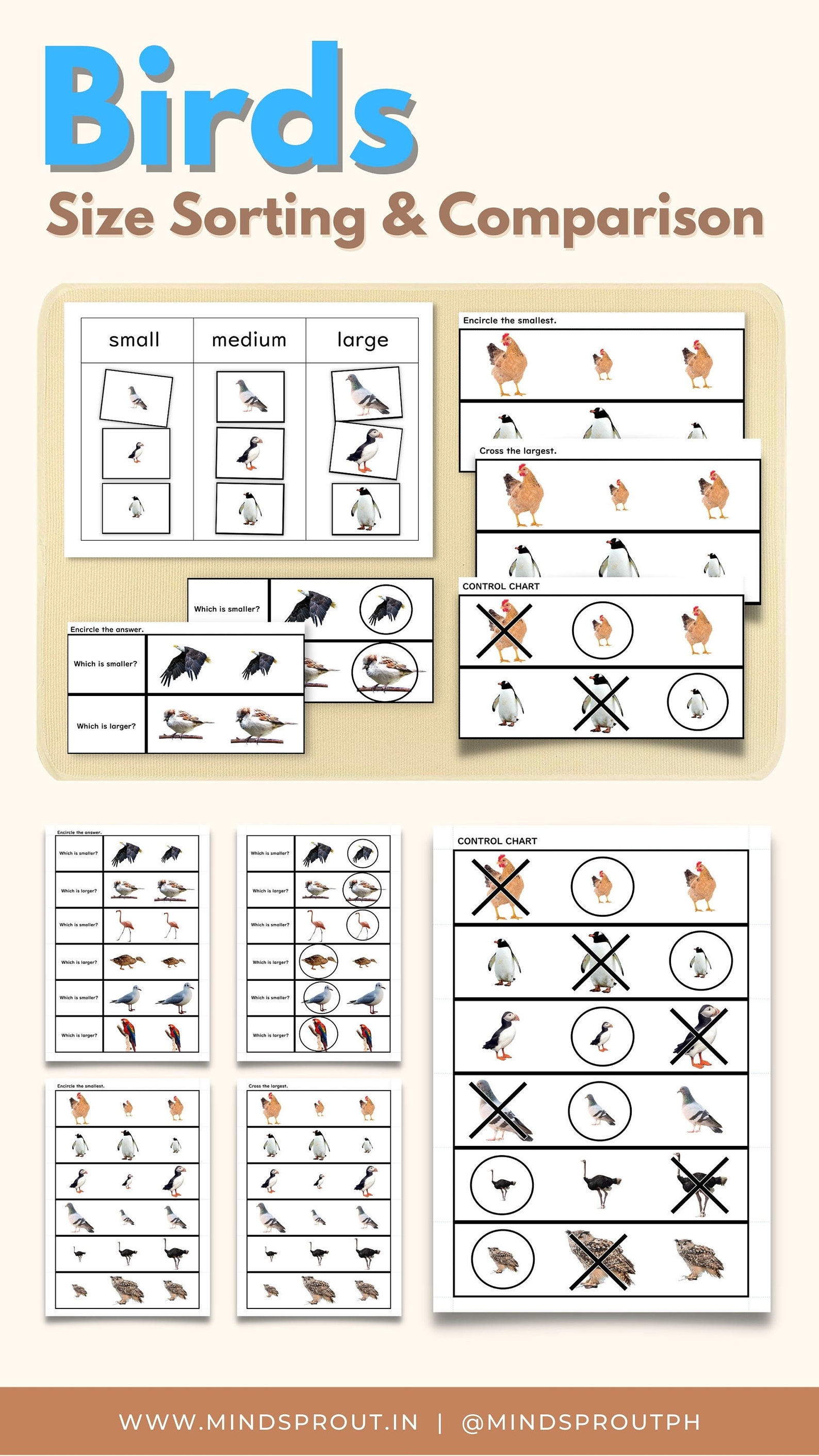 Small Medium Large Size Sorting Activity Montessori Sensorial ...
