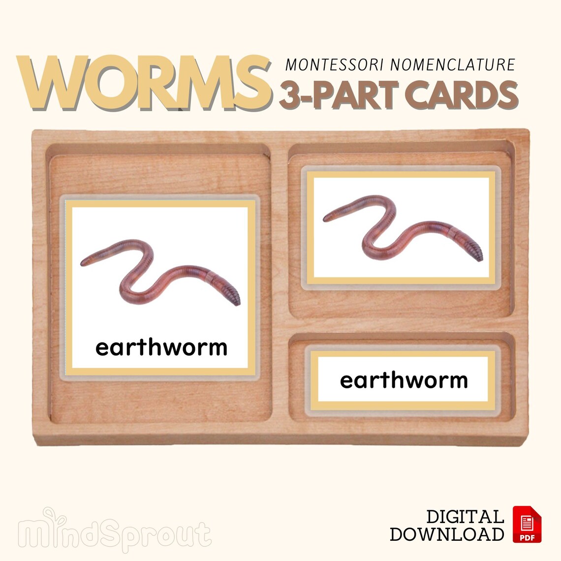 WORMS Zoology Unit Study Parts of Earthworm Flatworm Roundworm ...