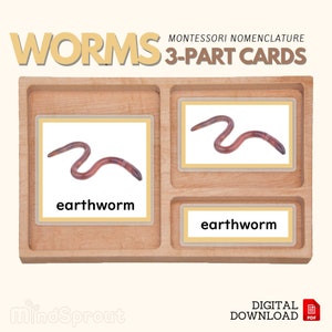 WORMS Zoology Unit Study Parts of Earthworm Flatworm Roundworm ...