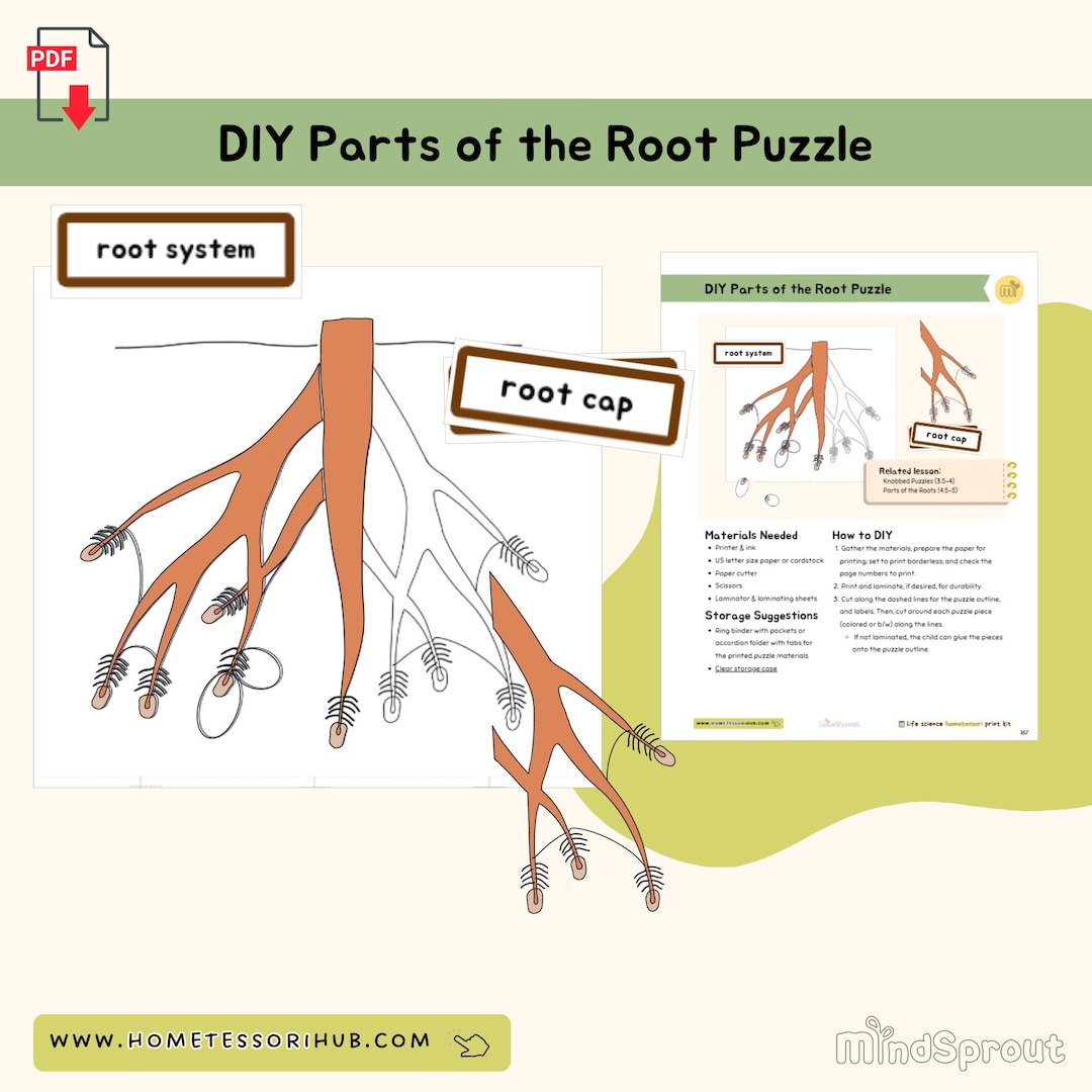 DIY Parts of the Root Puzzle Botany Montessori Printable Material - Etsy