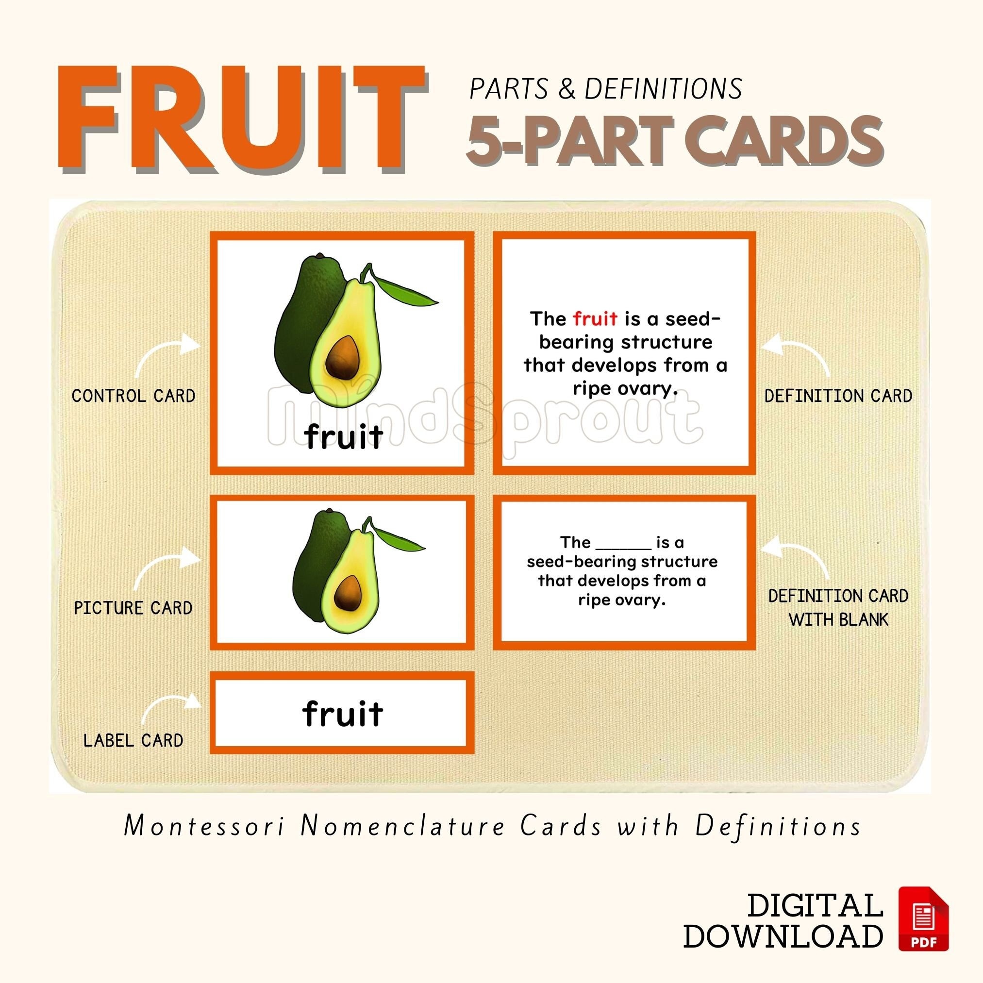 Parts of the FRUIT Montessori Botany Unit Study 5-part Card Definition ...