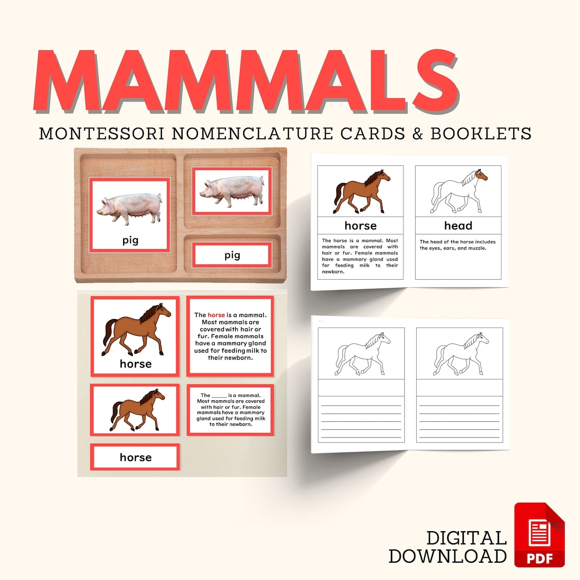 VERTEBRATES Montessori Zoology Unit Study Montessori - Etsy