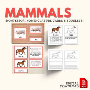 VERTEBRATES Montessori Zoology Unit Study Montessori Nomenclature 5 ...