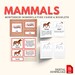 VERTEBRATES Montessori Zoology Unit Study Montessori Nomenclature 5 ...