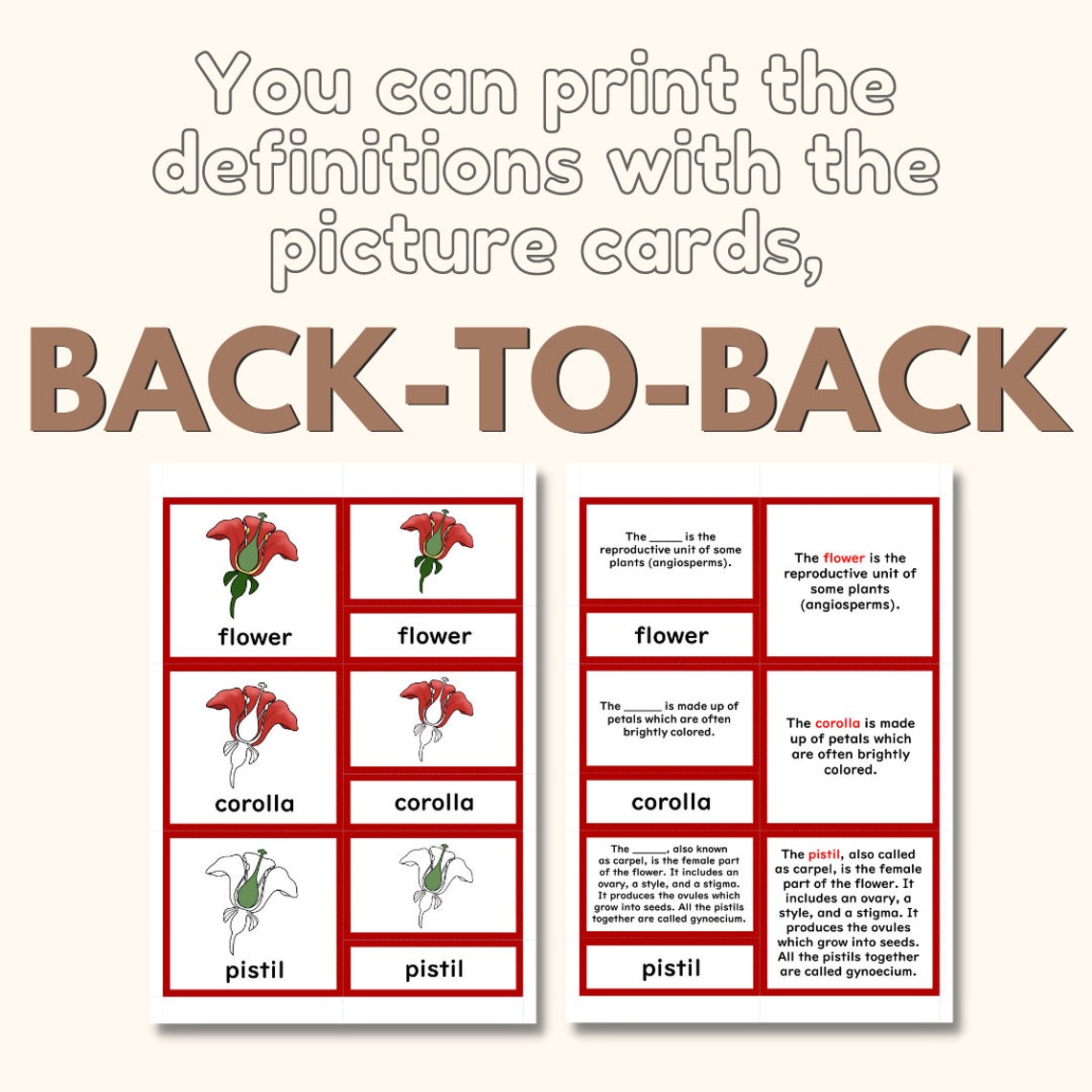 Parts of the FLOWER Montessori Botany Unit Study 5-part Card Definition ...