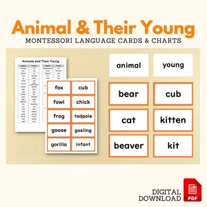 Animal Vocabulary Cards Charts Montessori Language Material BUNDLE ...
