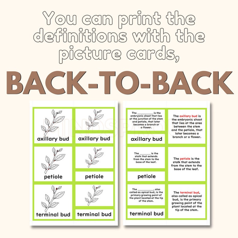 Parts of the STEM Montessori Botany Unit Study 5-part Card Definition ...
