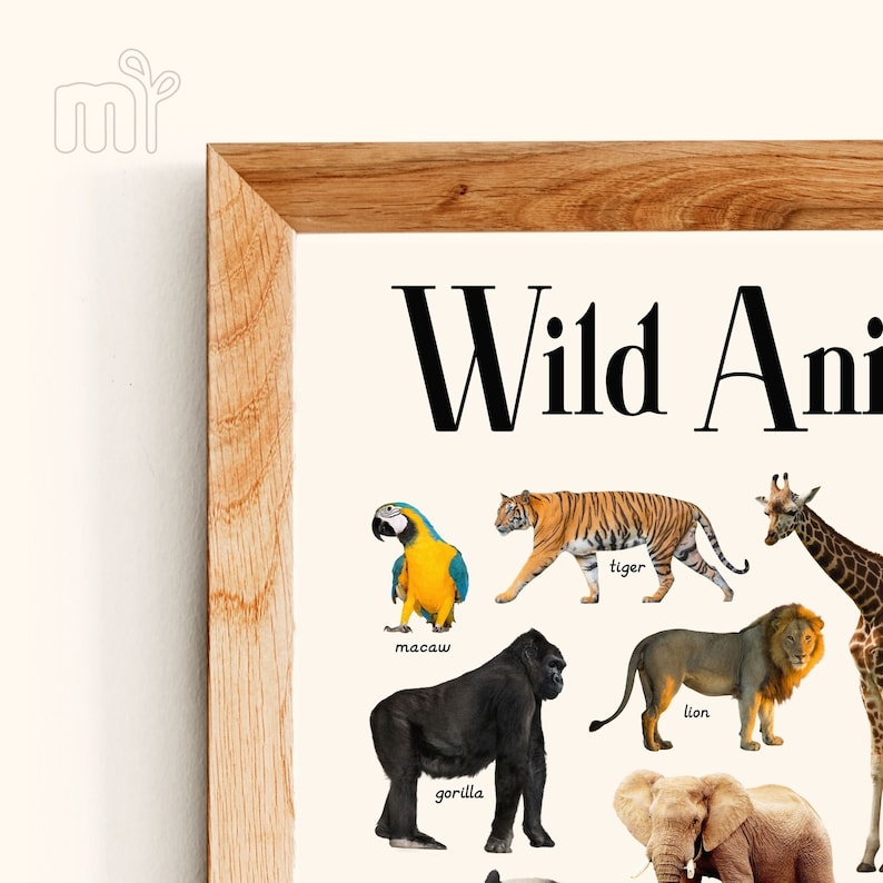 Educational Wall Art Montessori Chart Wild Animal Poster Home Decor for ...