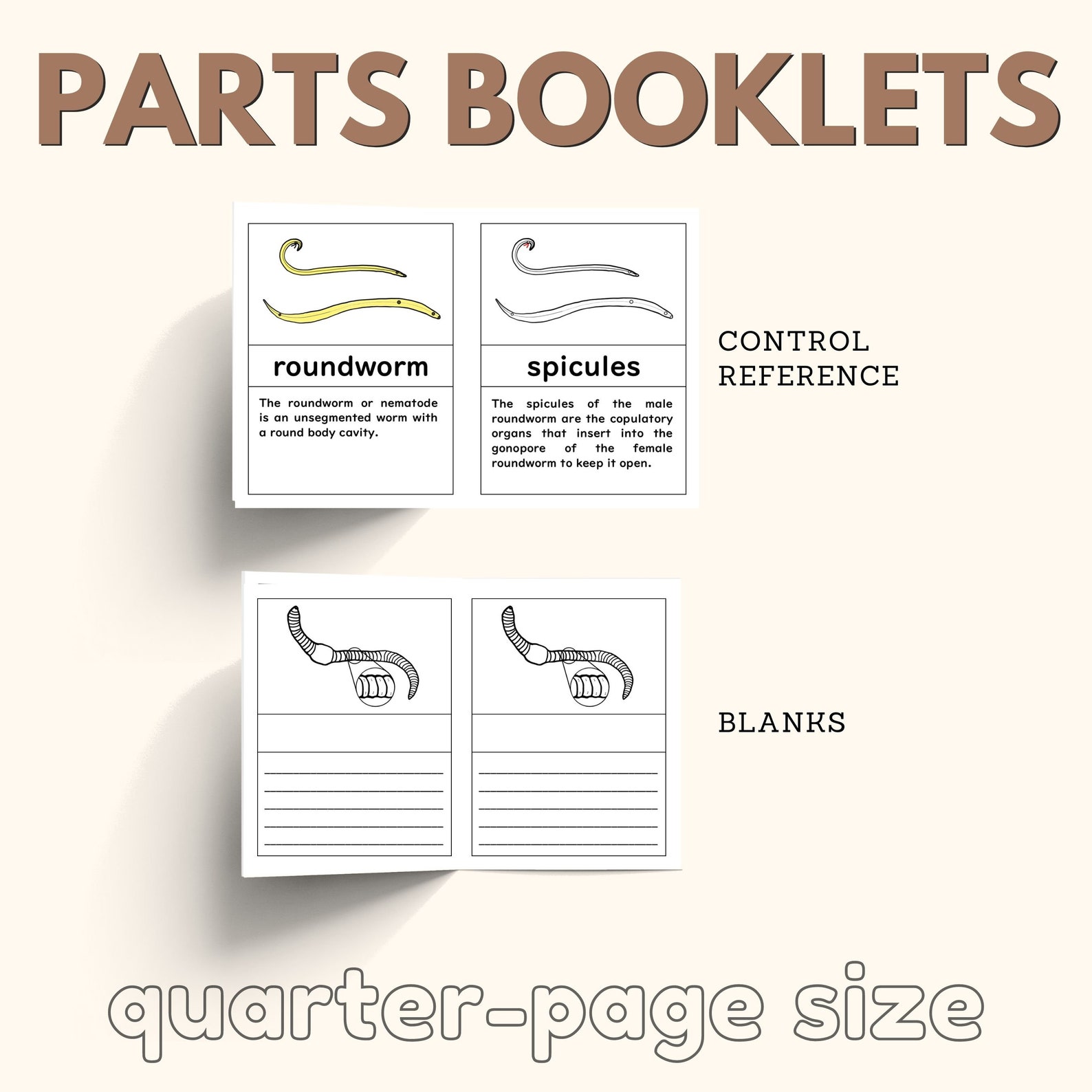 WORMS Zoology Unit Study Parts of Earthworm Flatworm Roundworm ...