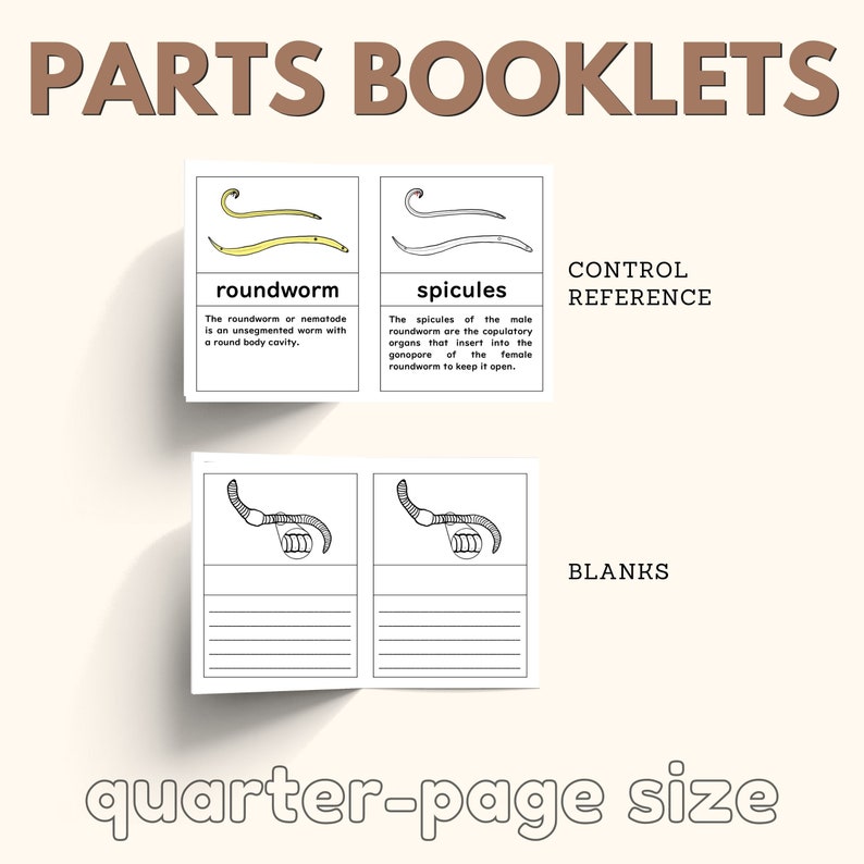 WORMS Zoology Unit Study Parts of Earthworm Flatworm Roundworm ...