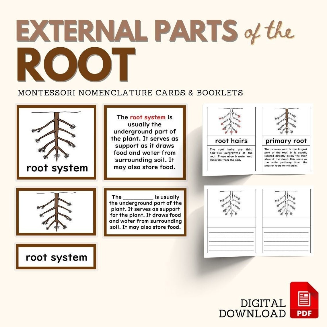Parts of the ROOTS Montessori Botany Tree Root Unit Study 5-part Card ...