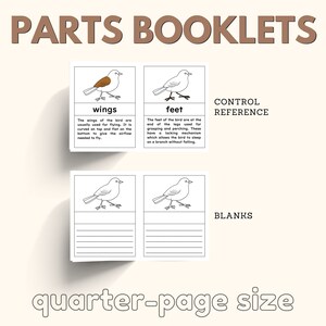 BIRDS Zoology Unit Study Parts of Birds Montessori Nomenclature 5-part ...