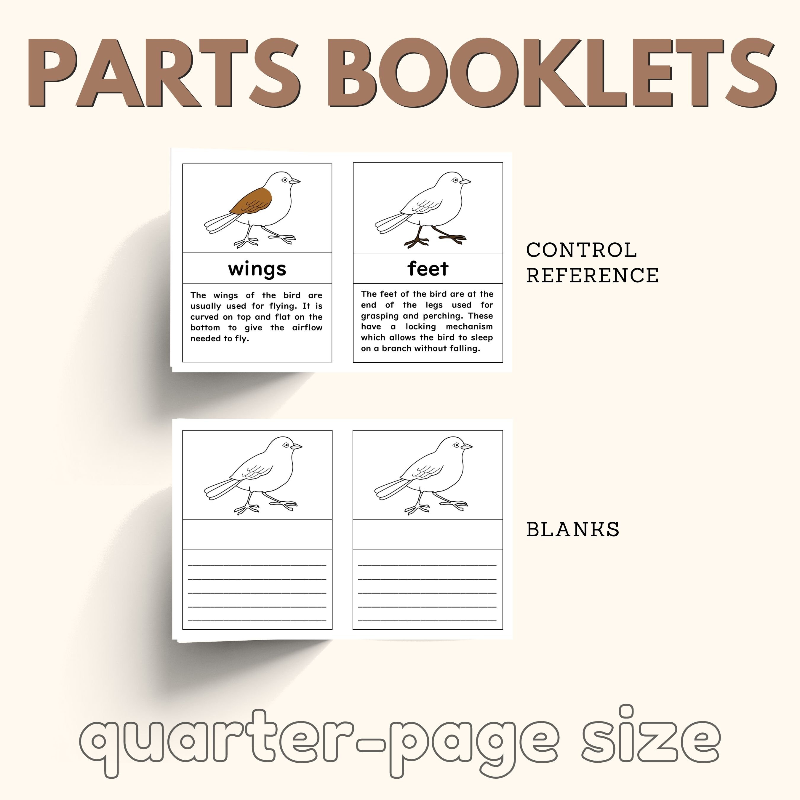 BIRDS Zoology Unit Study Parts of Birds Montessori Nomenclature 5-part ...
