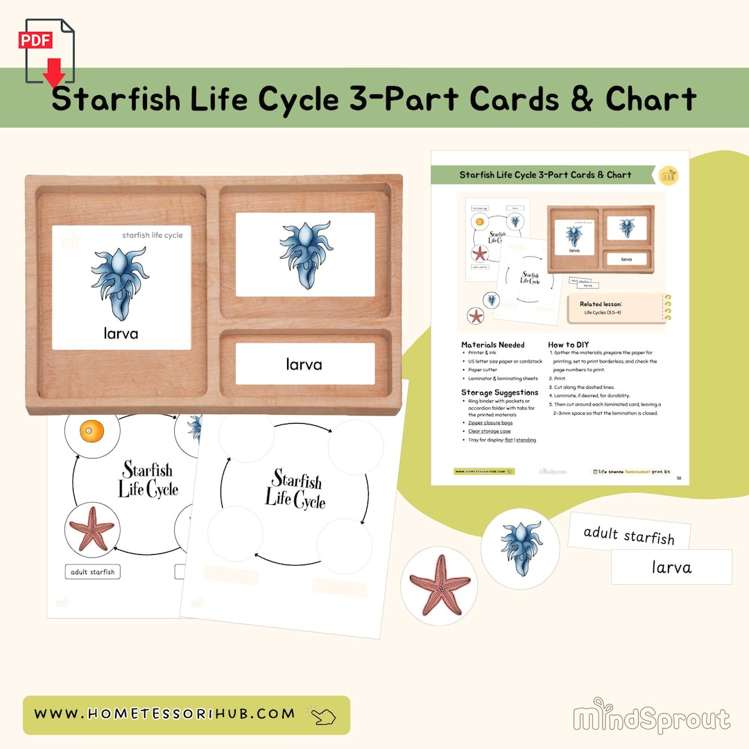 Starfish Life Cycle 3-part Cards and Chart Zoology Montessori Printable ...