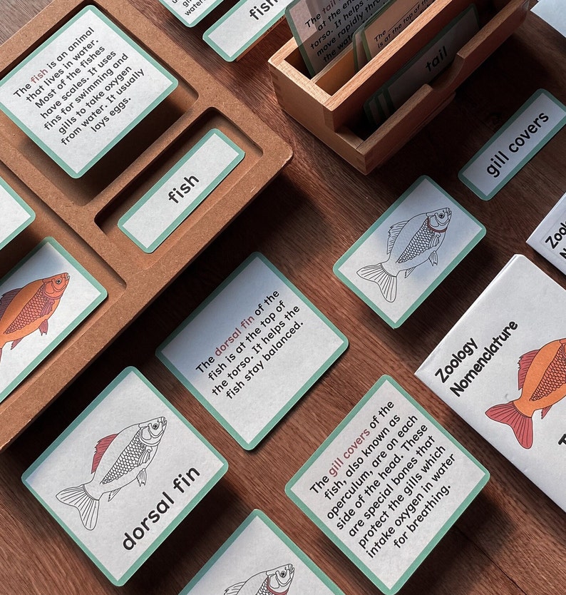 FISH Zoology Unit Study Parts of Fishes Montessori Nomenclature 5-part ...