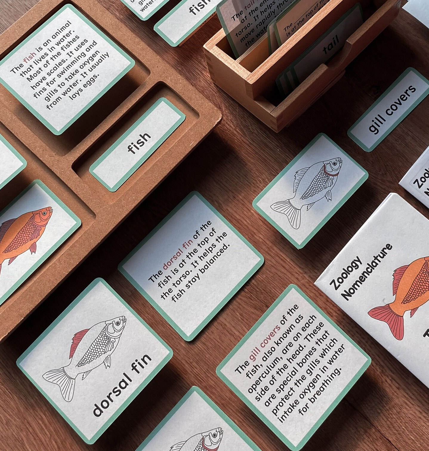 FISH Zoology Unit Study Parts of Fishes Montessori Nomenclature 5-part ...