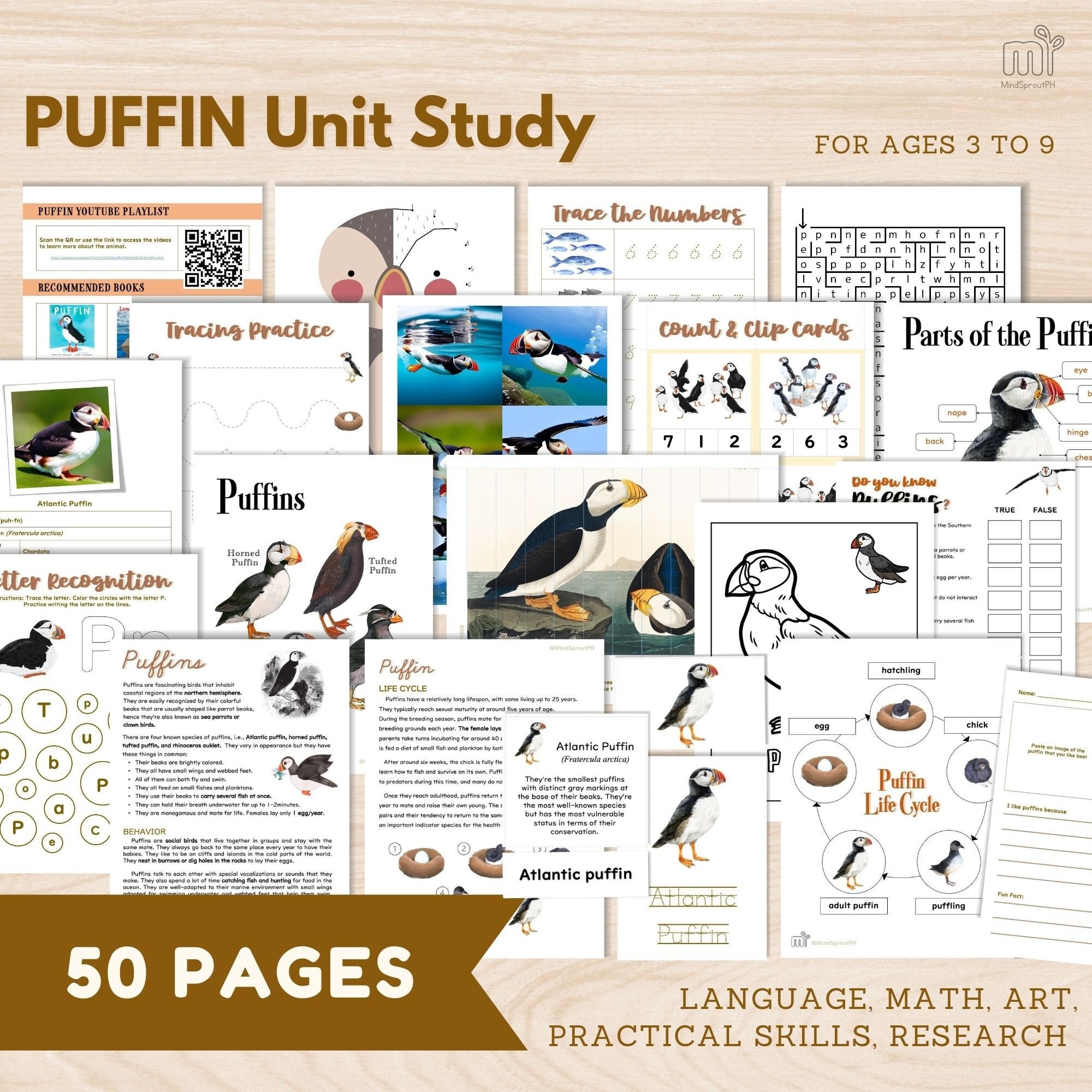 PUFFIN Unit Study (for 3-9) Preschool Activities Animal Fact File ...