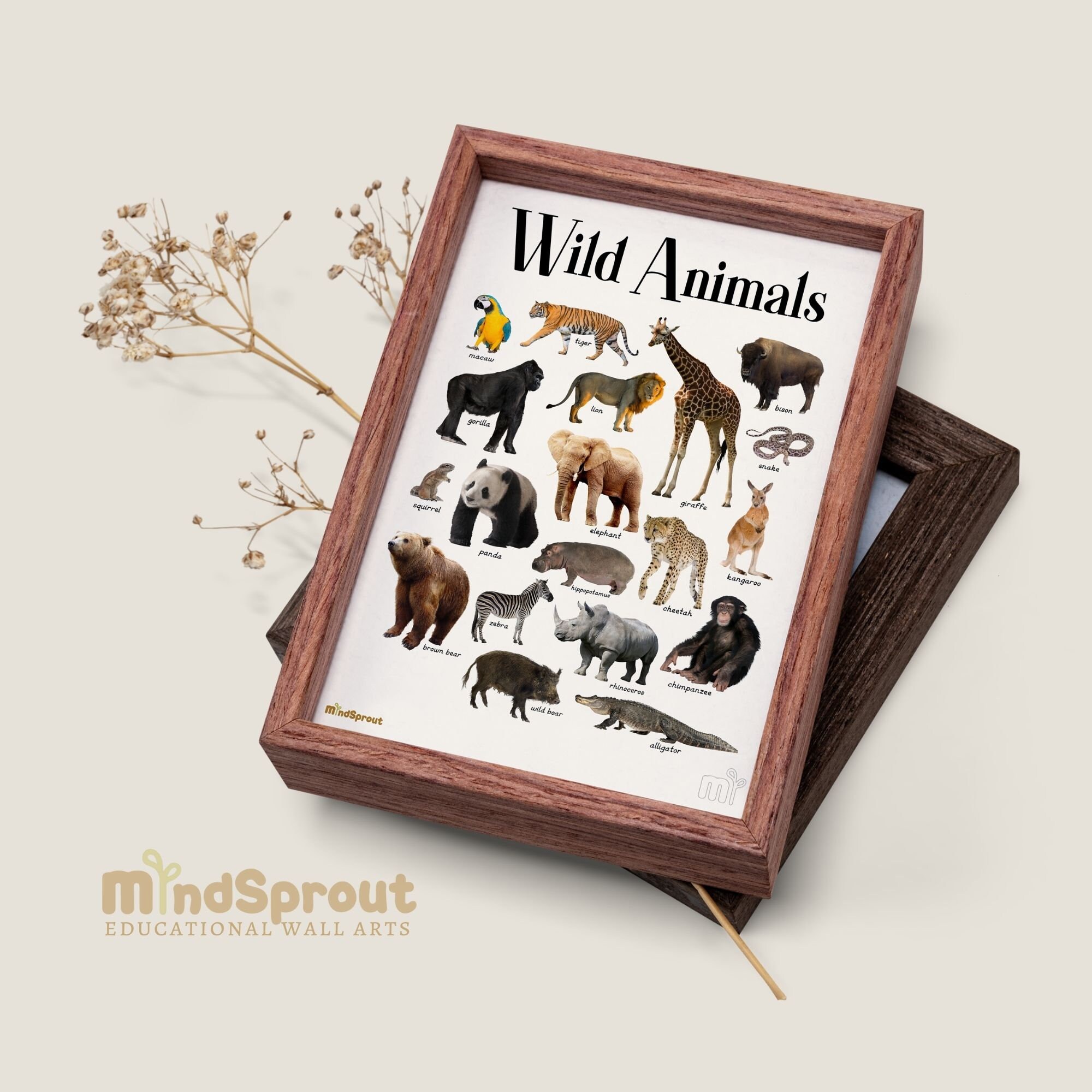 Educational Wall Art Montessori Chart Wild Animal Poster Home Decor for ...