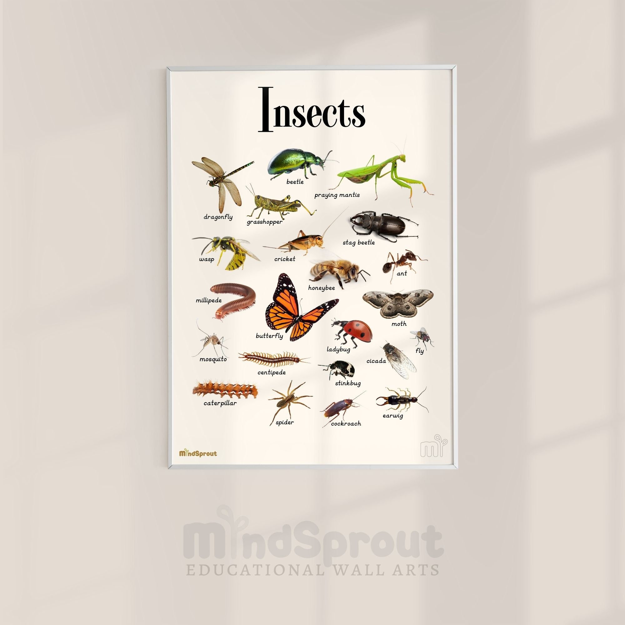 Educational Wall Art Montessori Chart Insects Poster Home Decor for ...