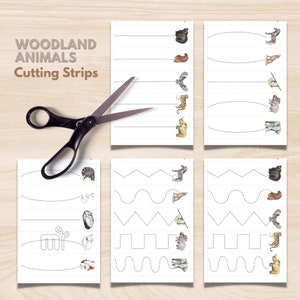 Woodland Animal Cutting Strip Sorting Mini Card Tracing Scissors ...