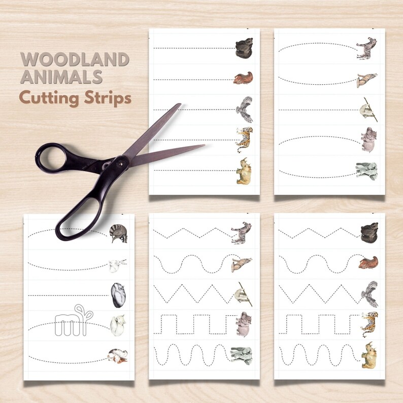 Woodland Animal Cutting Strip Sorting Mini Card Tracing Scissors ...