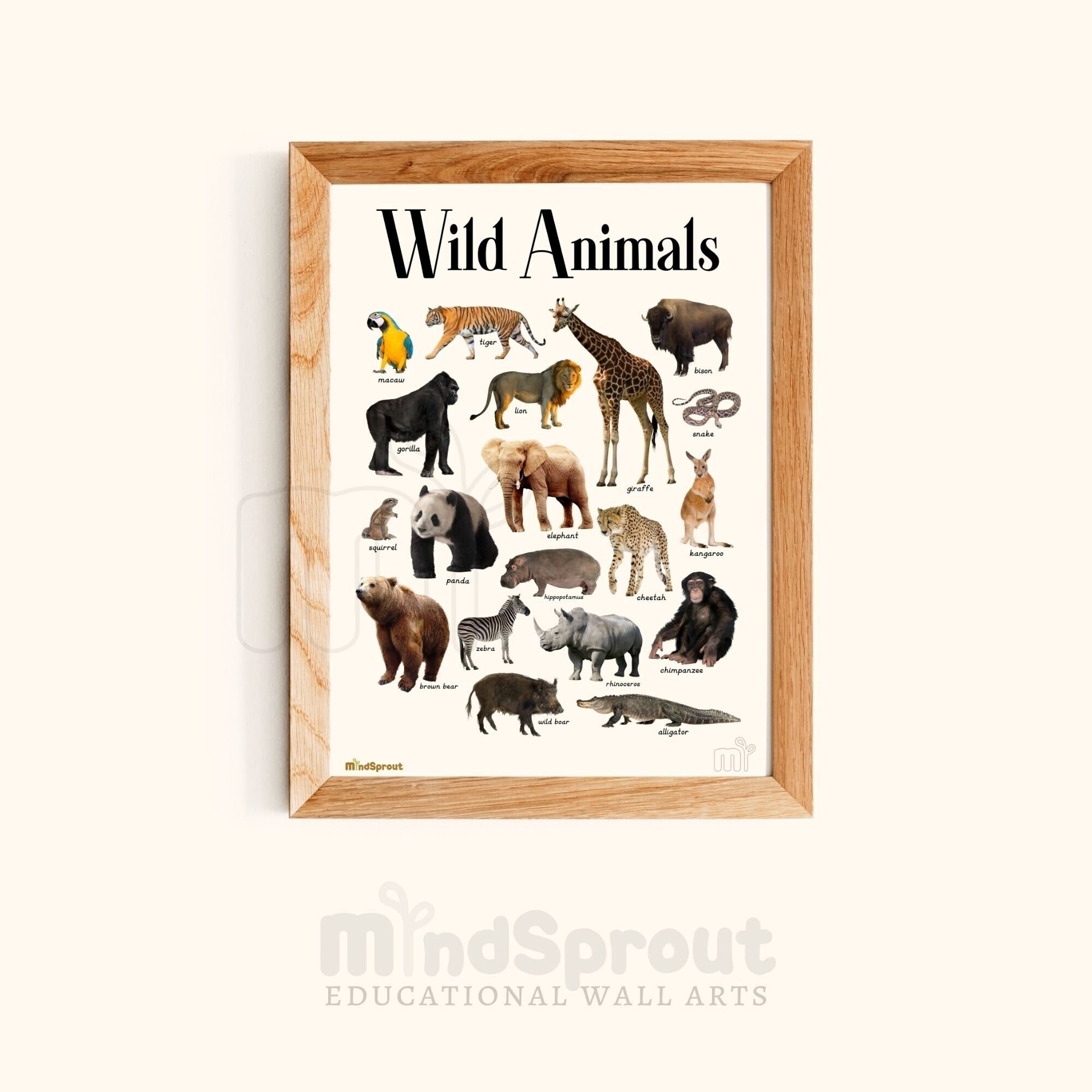 Educational Wall Art Montessori Chart Wild Animal Poster Home Decor for ...