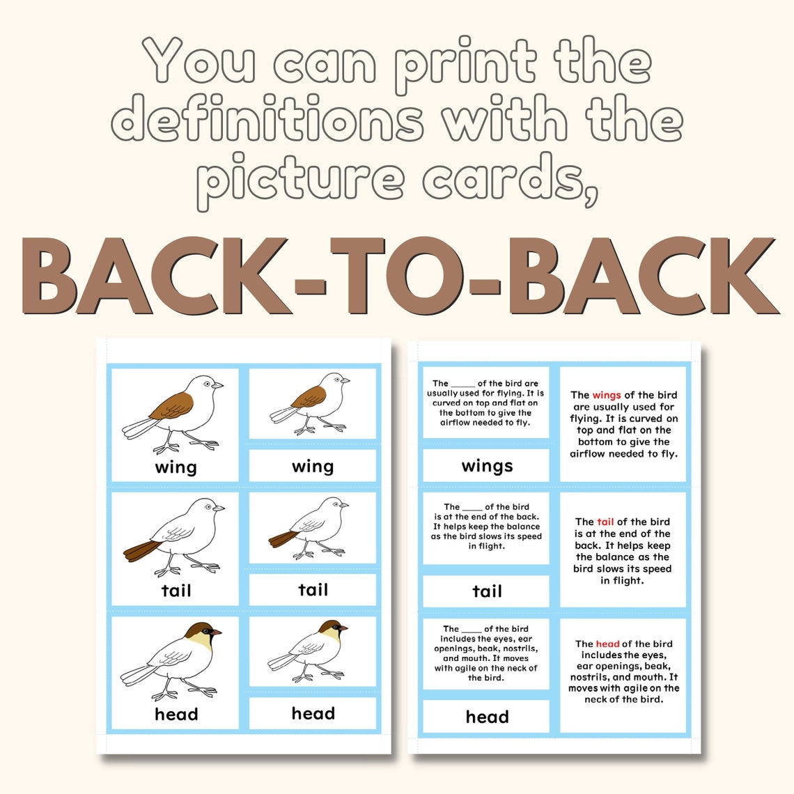 BIRDS Zoology Unit Study Parts of Birds Montessori Nomenclature 5-part ...