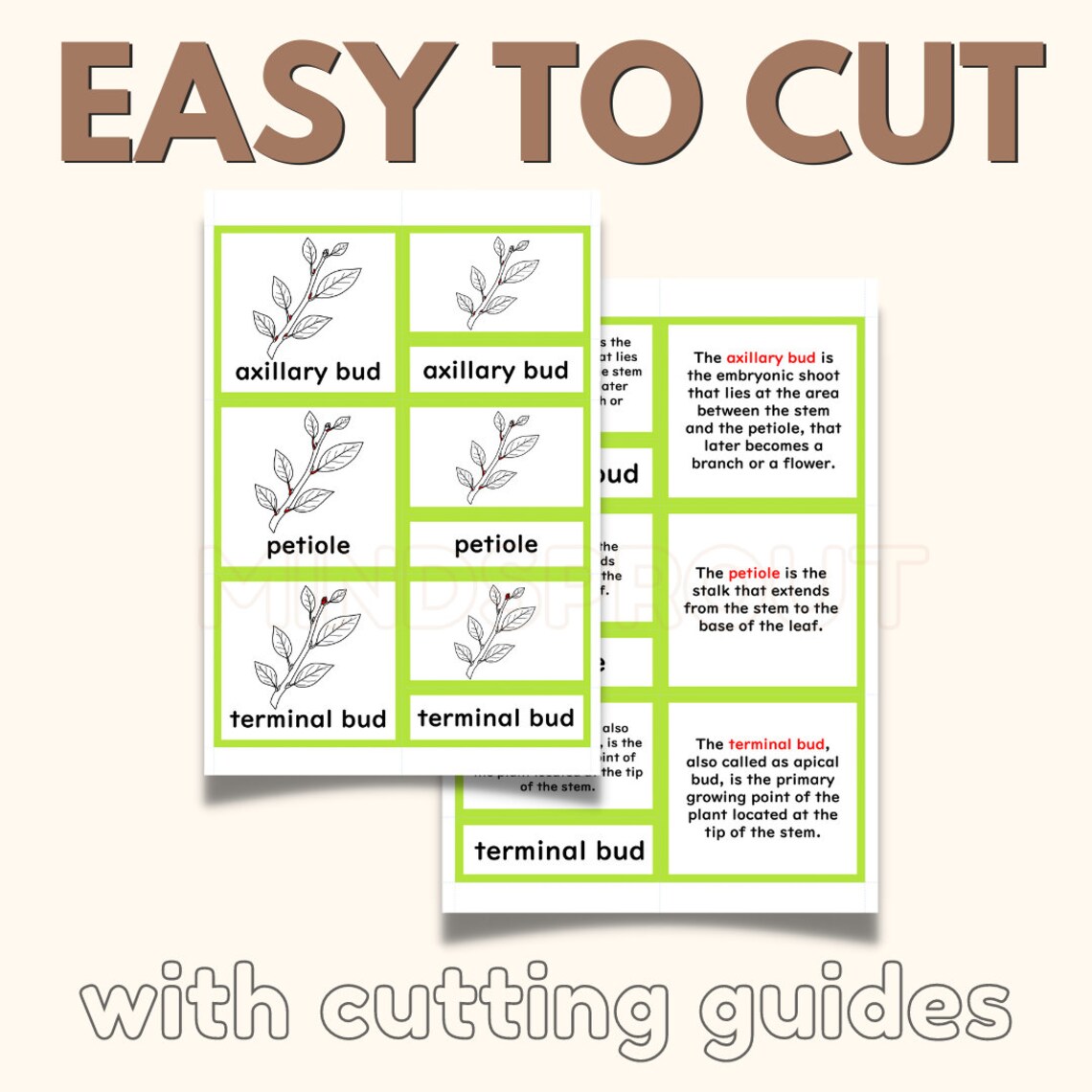 Parts of the STEM Montessori Botany Unit Study 5-part Card Definition ...