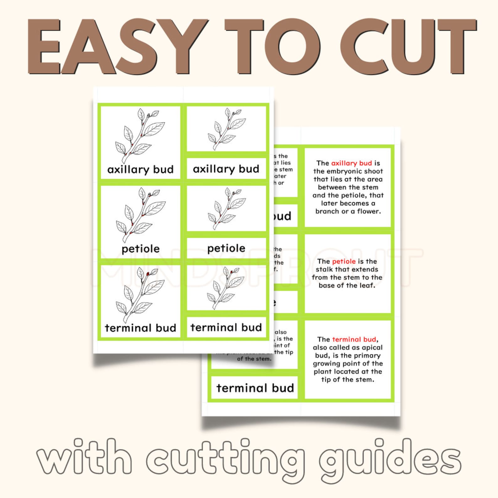 Parts of the STEM Montessori Botany Unit Study 5-part Card Definition ...