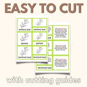 Parts of the STEM Montessori Botany Unit Study 5-part Card Definition ...