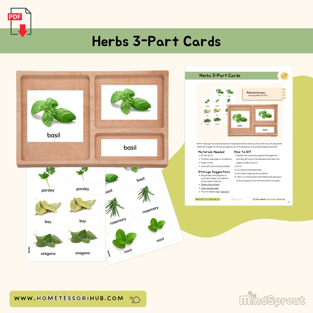 Herbs 3-part Cards Explorations Montessori Printable Material - Etsy