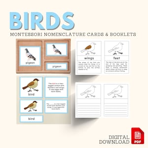 VERTEBRATES Montessori Zoology Unit Study Montessori Nomenclature 5 ...