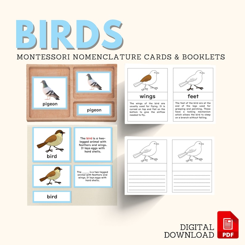 VERTEBRATES Montessori Zoology Unit Study Montessori - Etsy