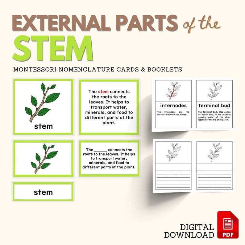 Parts of the STEM Montessori Botany Unit Study 5-part Card Definition ...