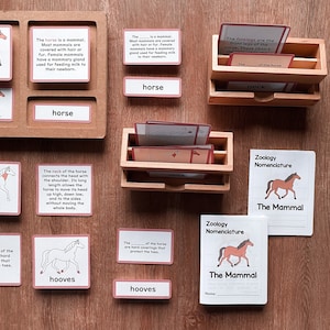 MAMMALS Zoology Unit Study Parts of Horse Montessori Nomenclature 5 ...