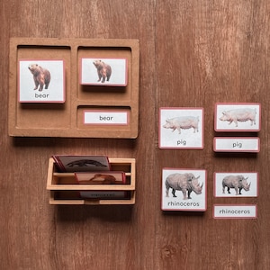 MAMMALS Three Part Cards Montessori Nomenclature 3-part Classified ...