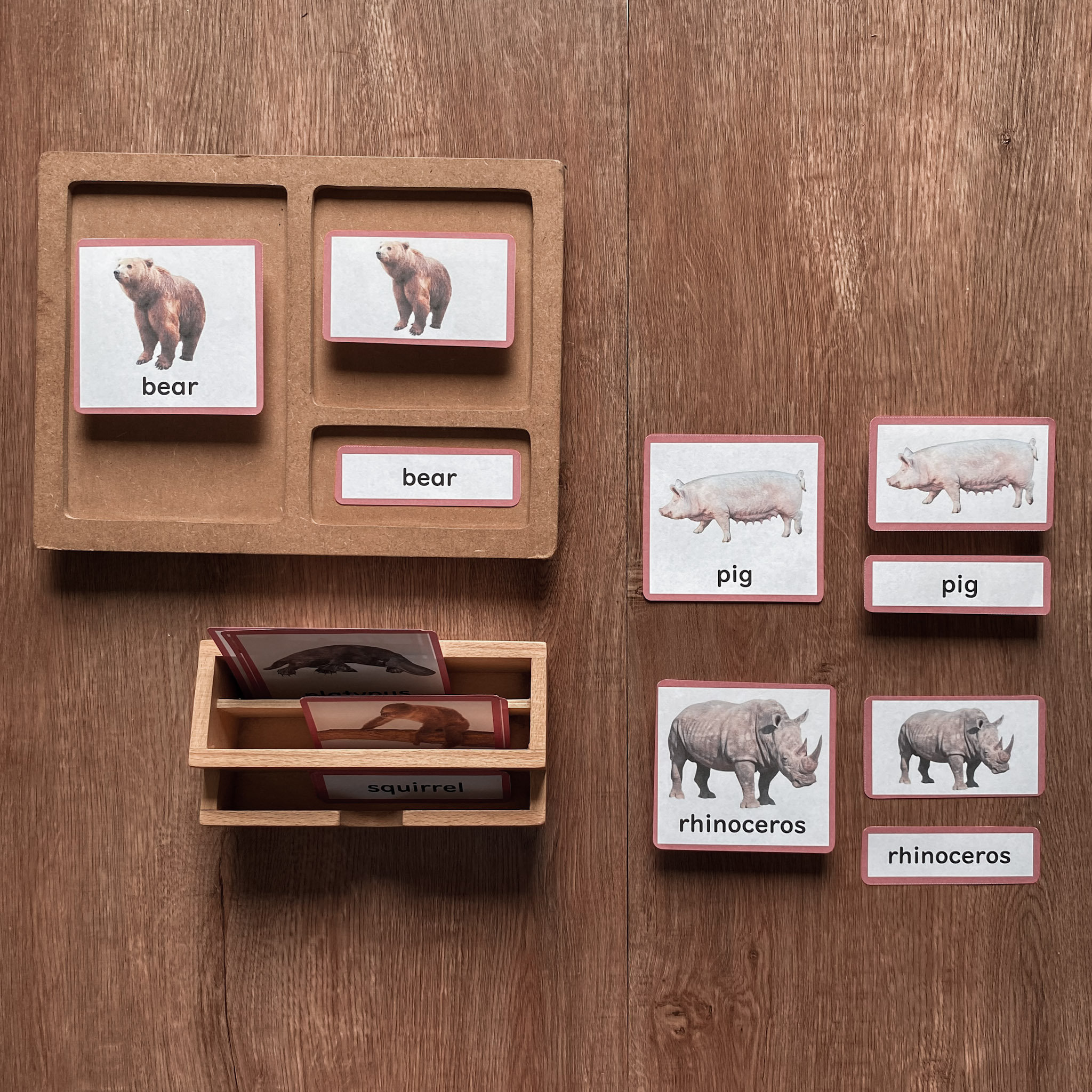 MAMMALS Three Part Cards Montessori Nomenclature 3-part Classified ...