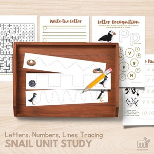 PUFFIN Unit Study (for 3-9) Preschool Activities Animal Fact File ...