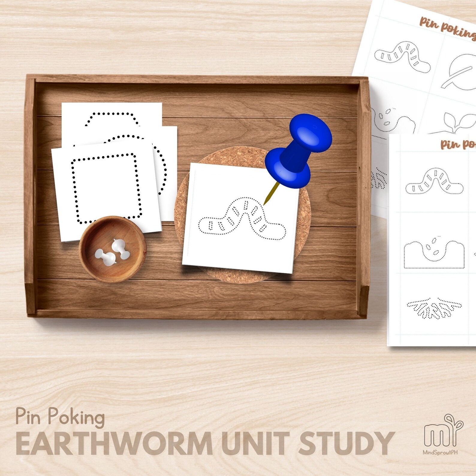 Earthworm Unit Study for 3-9 Preschool Activities Unit Research for ...
