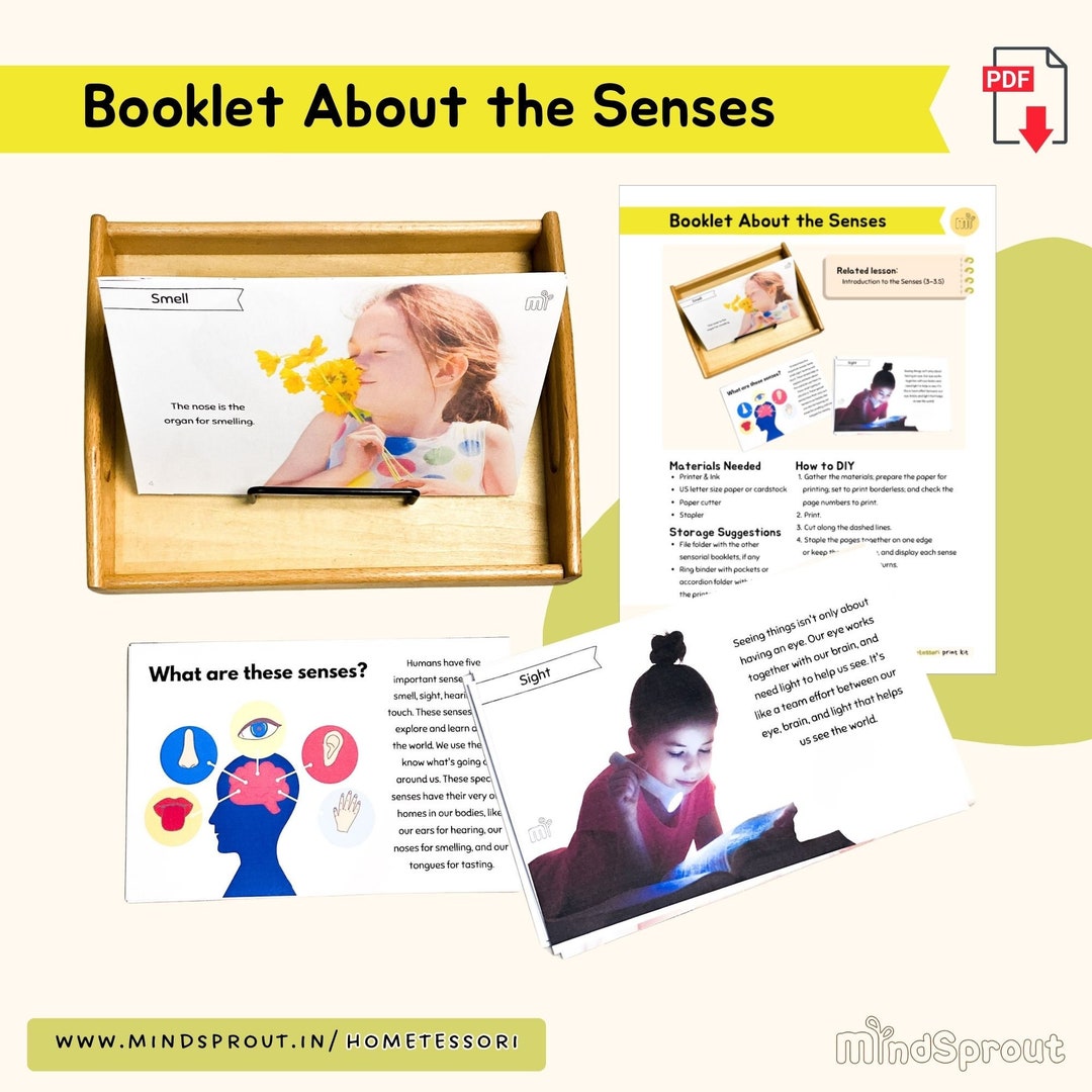 Introduction to the Five Senses Montessori Sensorial Booklet Preschool ...