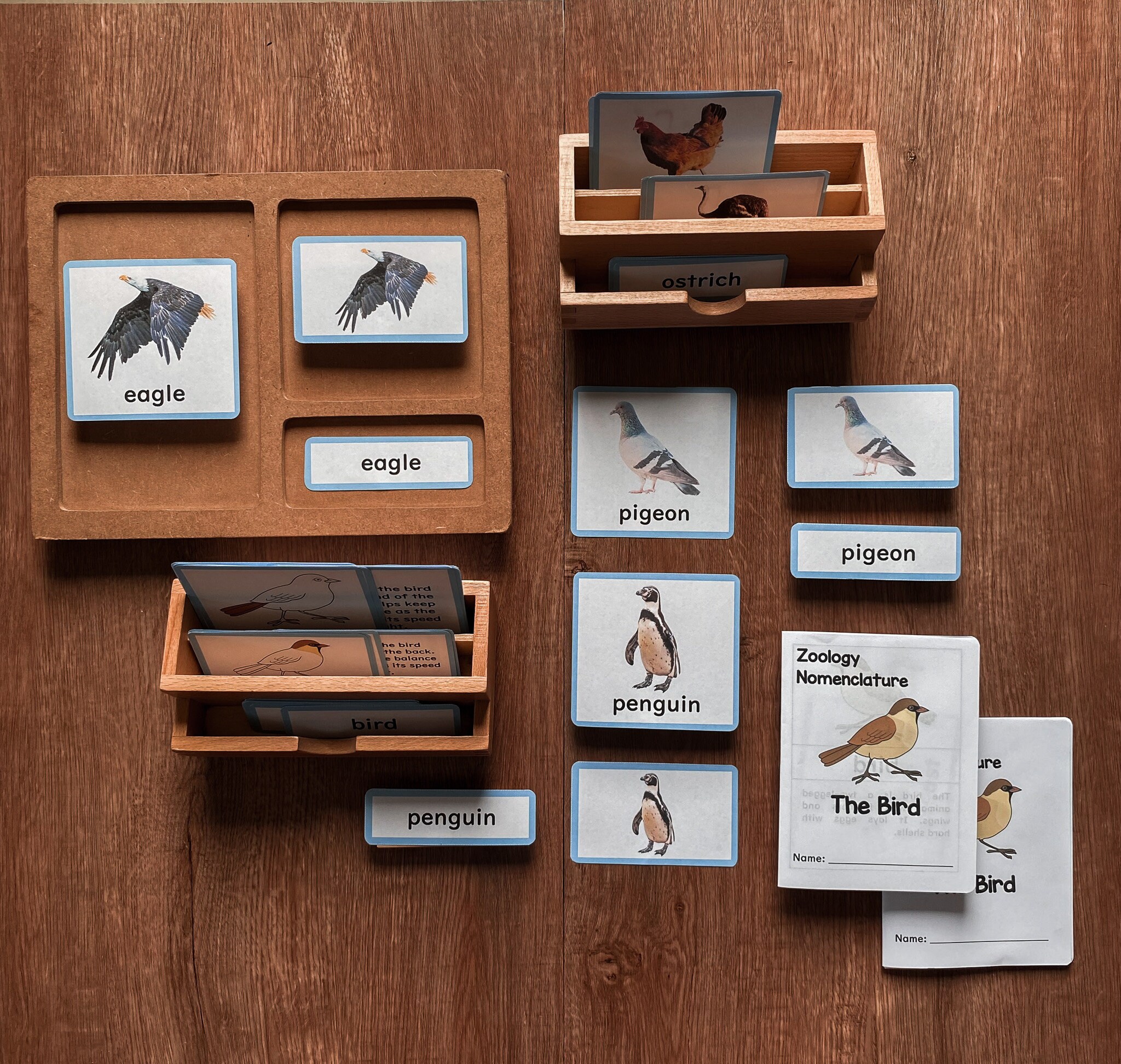 BIRDS Zoology Unit Study Parts of Birds Montessori Nomenclature 5-part ...