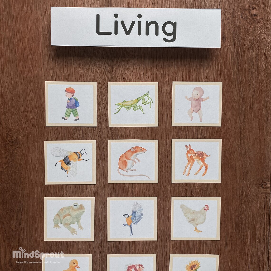 LIVING and Non-living Sorting Cards Montessori Activity Preschool ...