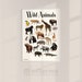 Educational Wall Art Montessori Chart Wild Animal Poster Home Decor for ...